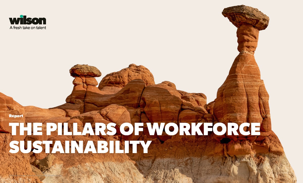 The pillars of workforce sustainability